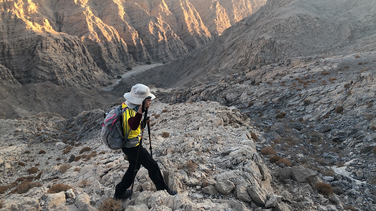 Cascade Mountain Tech Trekking Poles Review