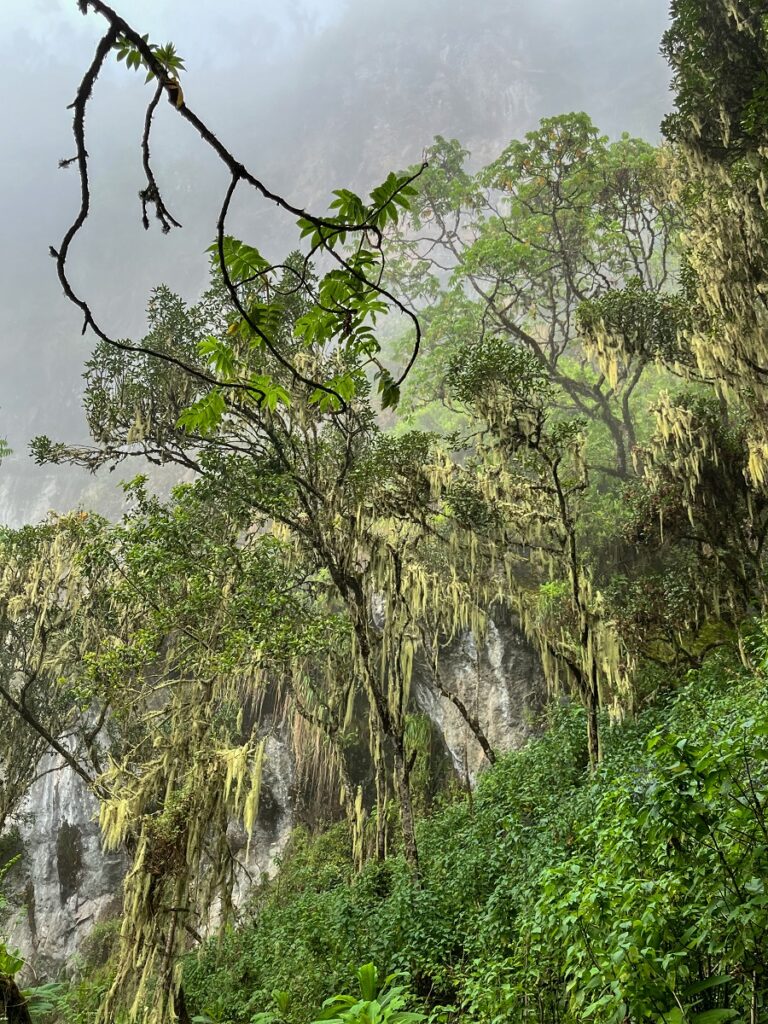 Wagagai Peak of Mount Elgon through Bushiyi Trail in Uganda